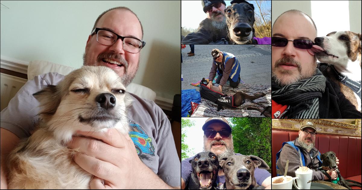 Andy's Dog Sitting Service – Professional London-based dog sitter